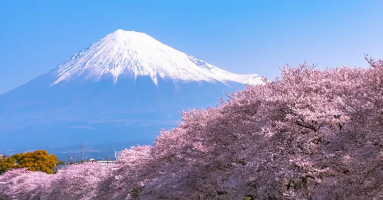 Japanese Government to Block Mount Fuji View Due to Tourists