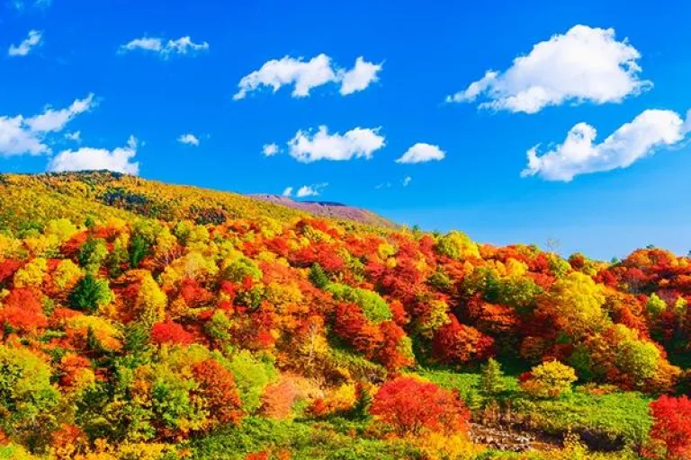 Discovering Japan: 2 Scenic Autumn Itineraries that Maximize the JR ...