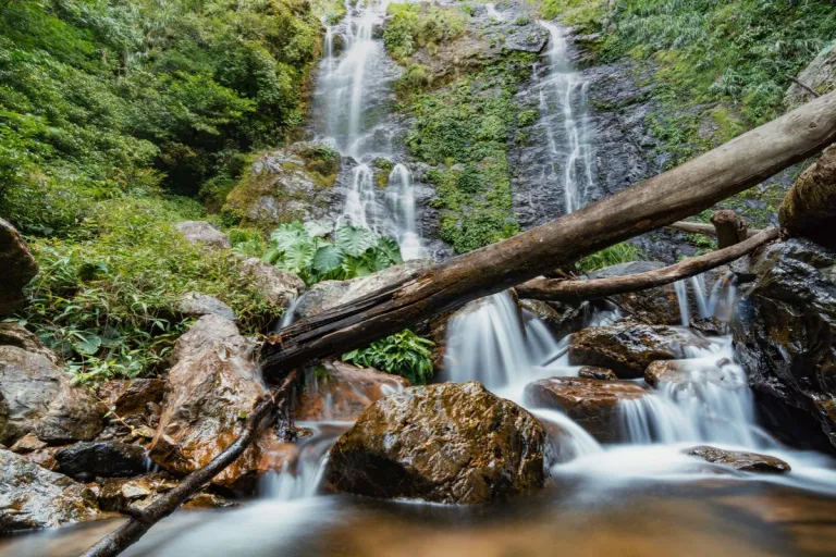Hidden Nature Gems in Sabah: Beyond Mount Kinabalu and the Islands