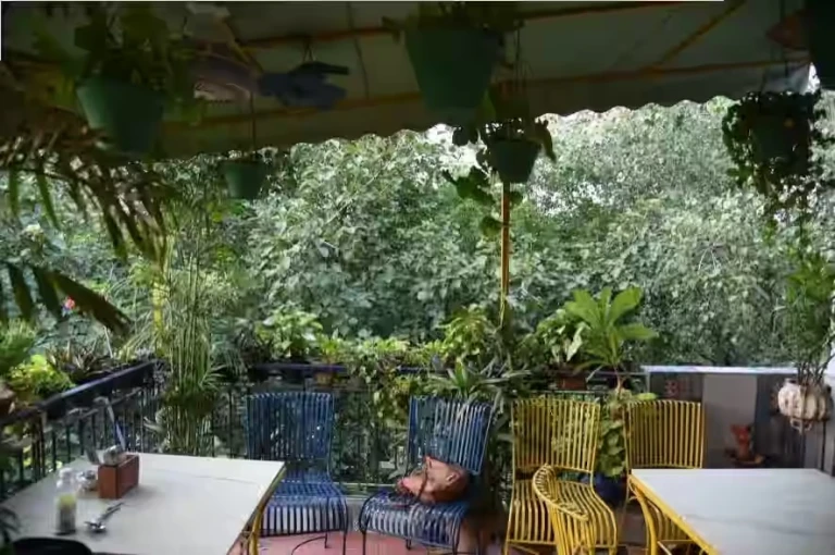 15 places in Delhi for a Romantic Date